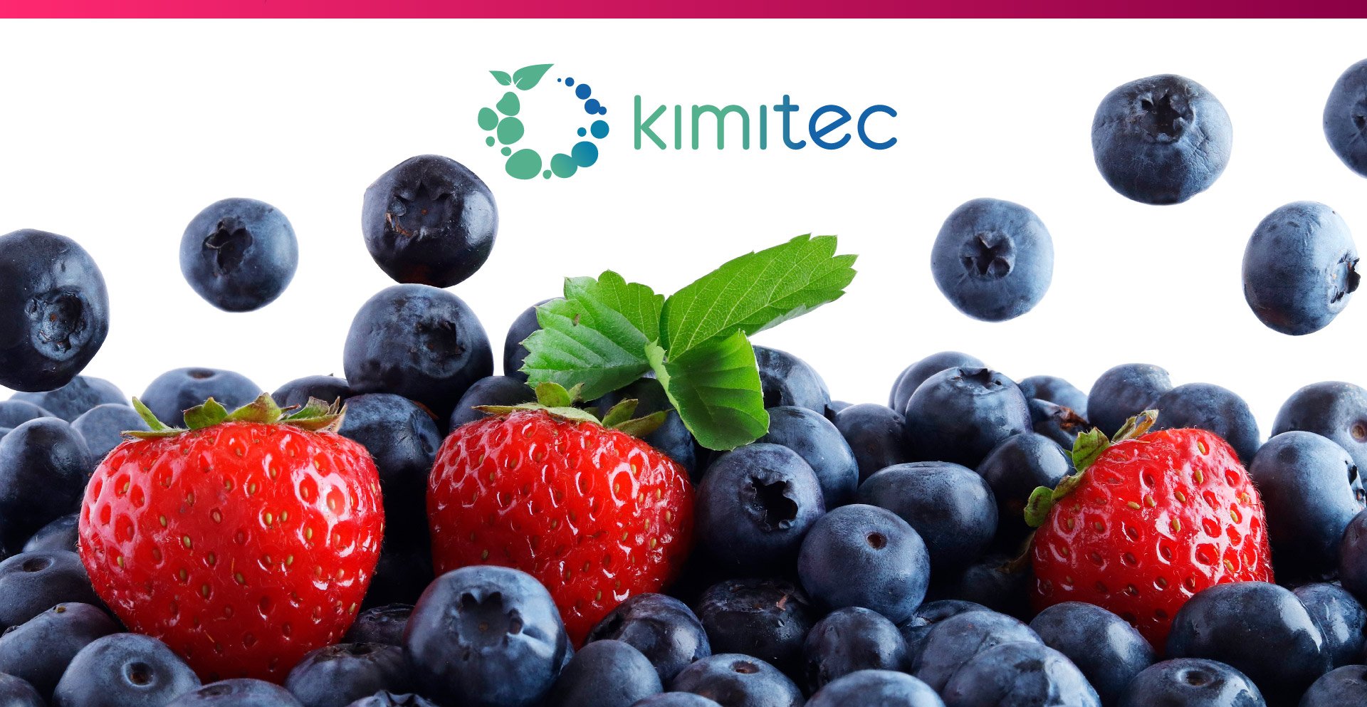 KIMITEC | Con Batallón, tus berries llegarán antes al mercado.