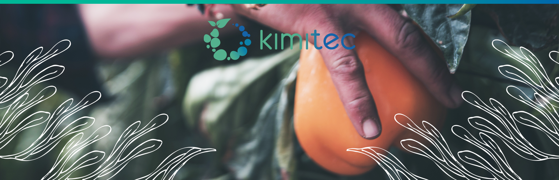 KIMITEC | KIMITEC | ¿Quieres que tu cultivo hortícola de invernadero ...