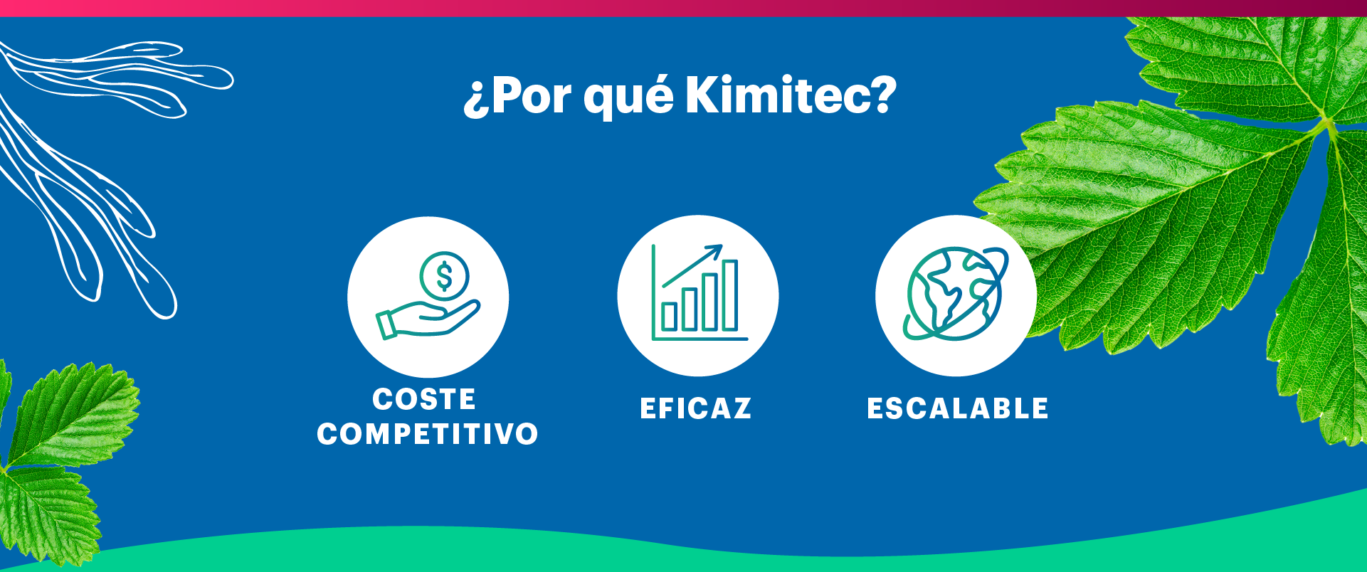 KIMITEC | Con Batallón, tus berries llegarán antes al mercado.